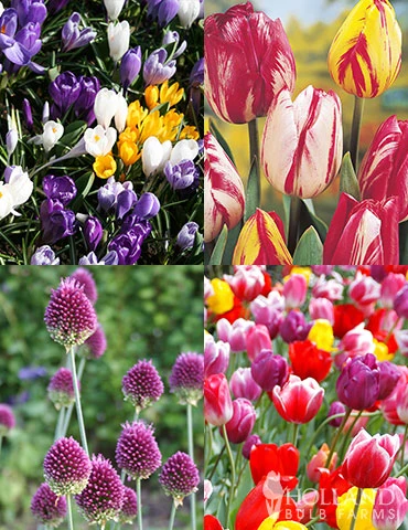 This is the Ideal Gift for Men and Women - Affordable Menu Prime Fall ...